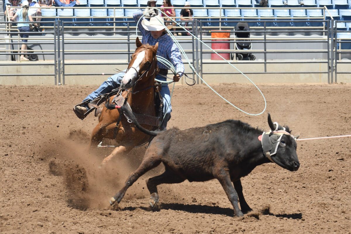 LLOYD: High school rodeo highlights toughness and kindness despite ...